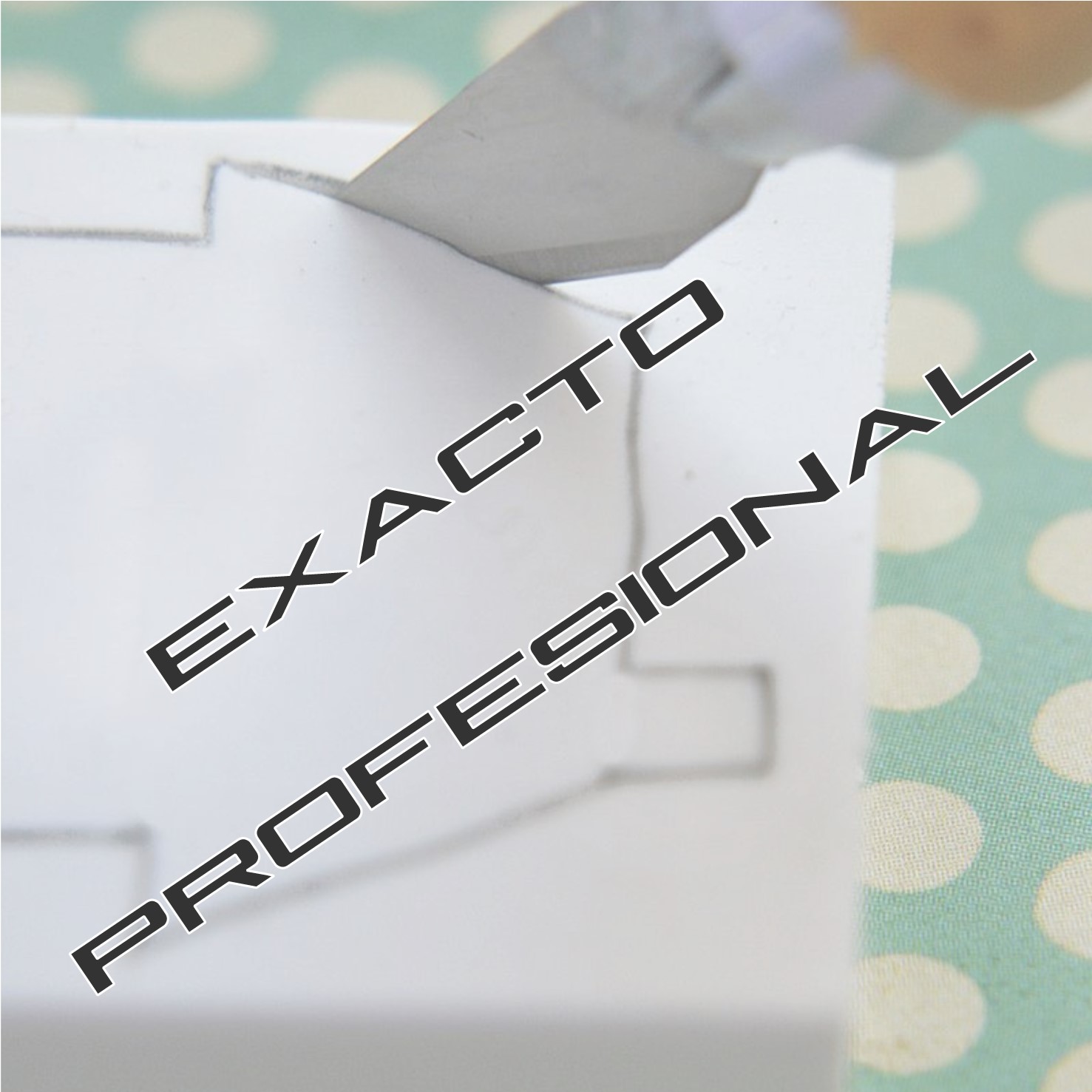 exacto profesional – Comercializadora Hiro
